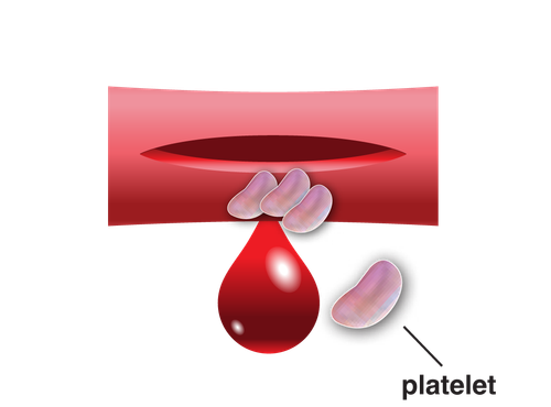 GAMMAKED™ ITP Education: Diagnosis, Symptoms & Treatments