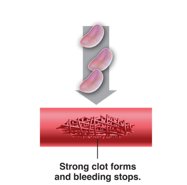 GAMMAKED™ ITP Education: Diagnosis, Symptoms & Treatments